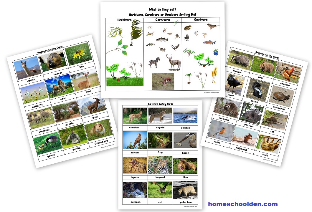 The Homeschool Den: Living and Non Living Sorting Activities