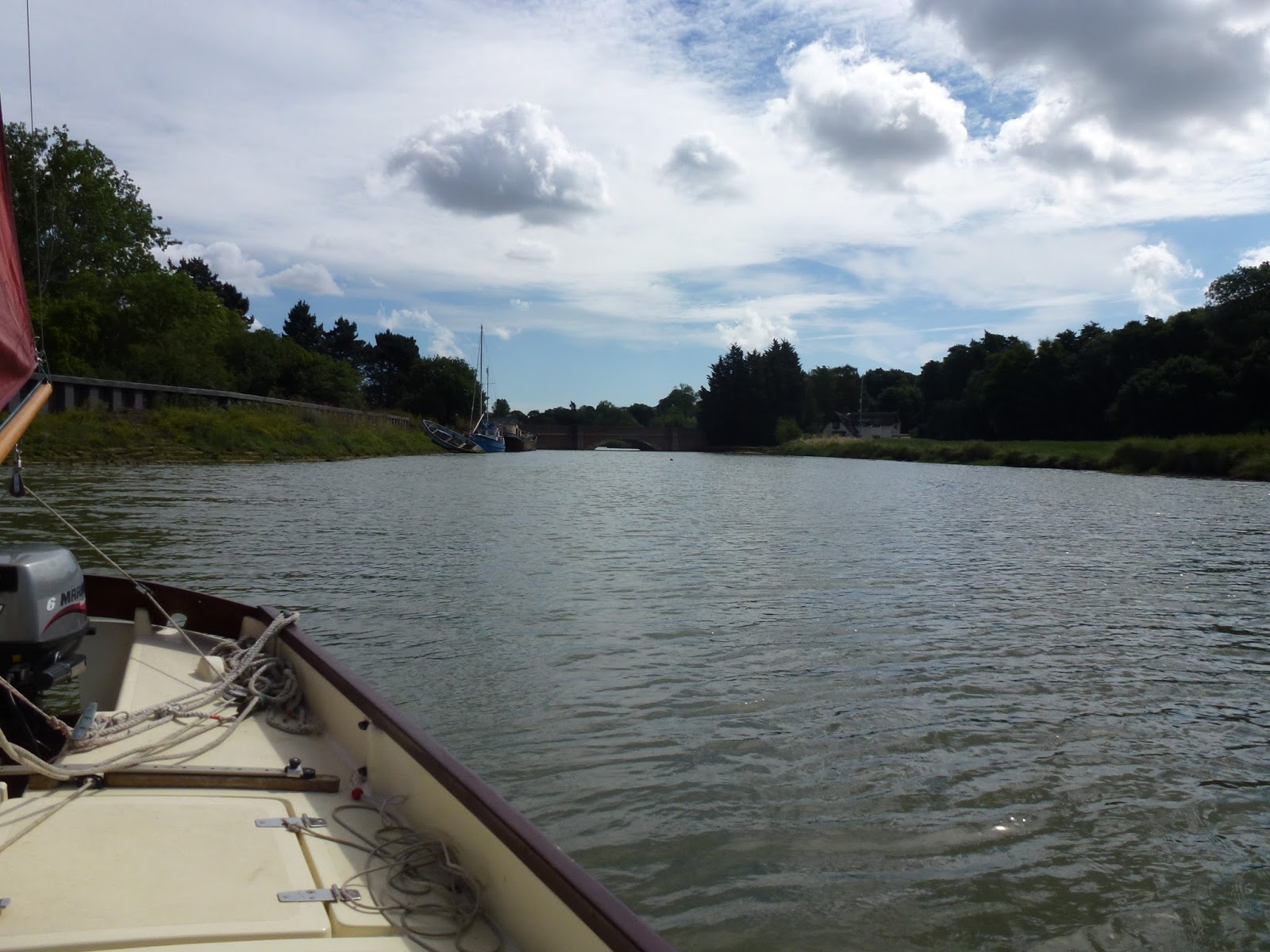Daisy II: August 2013