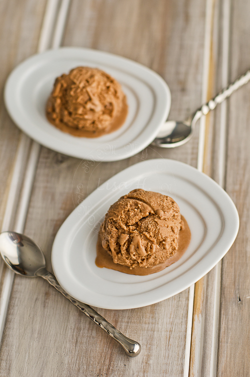 Chocolate Fudge Ice-Cream - Lisa's Lemony Kitchen