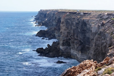 Gallivantour: The Great Australian Bite