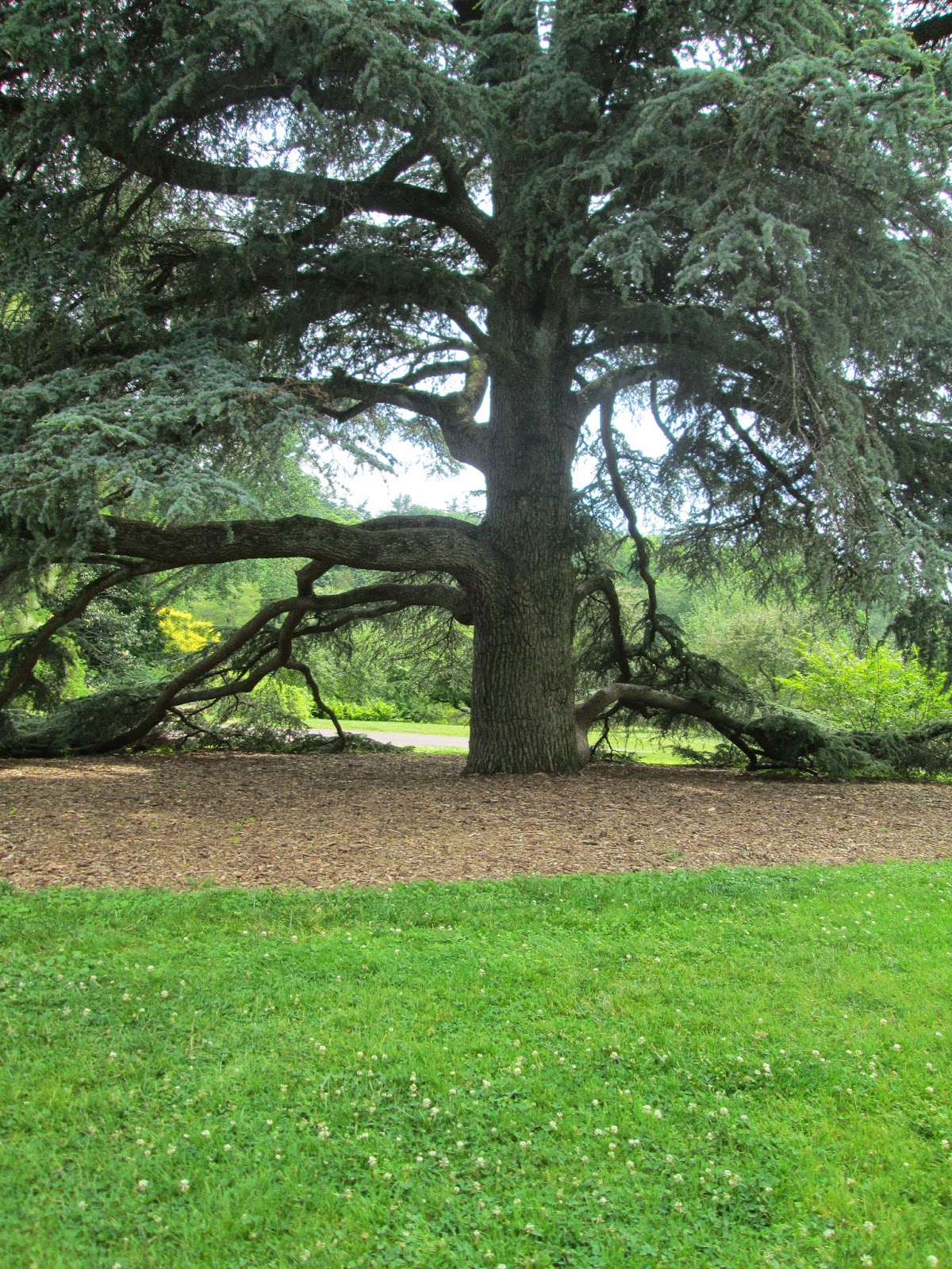 The Belle of Cowbell: The Bipolar Therapist from Willow Grove, PA: I ...