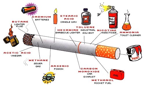 No Life With Smoking: Components of cigarette