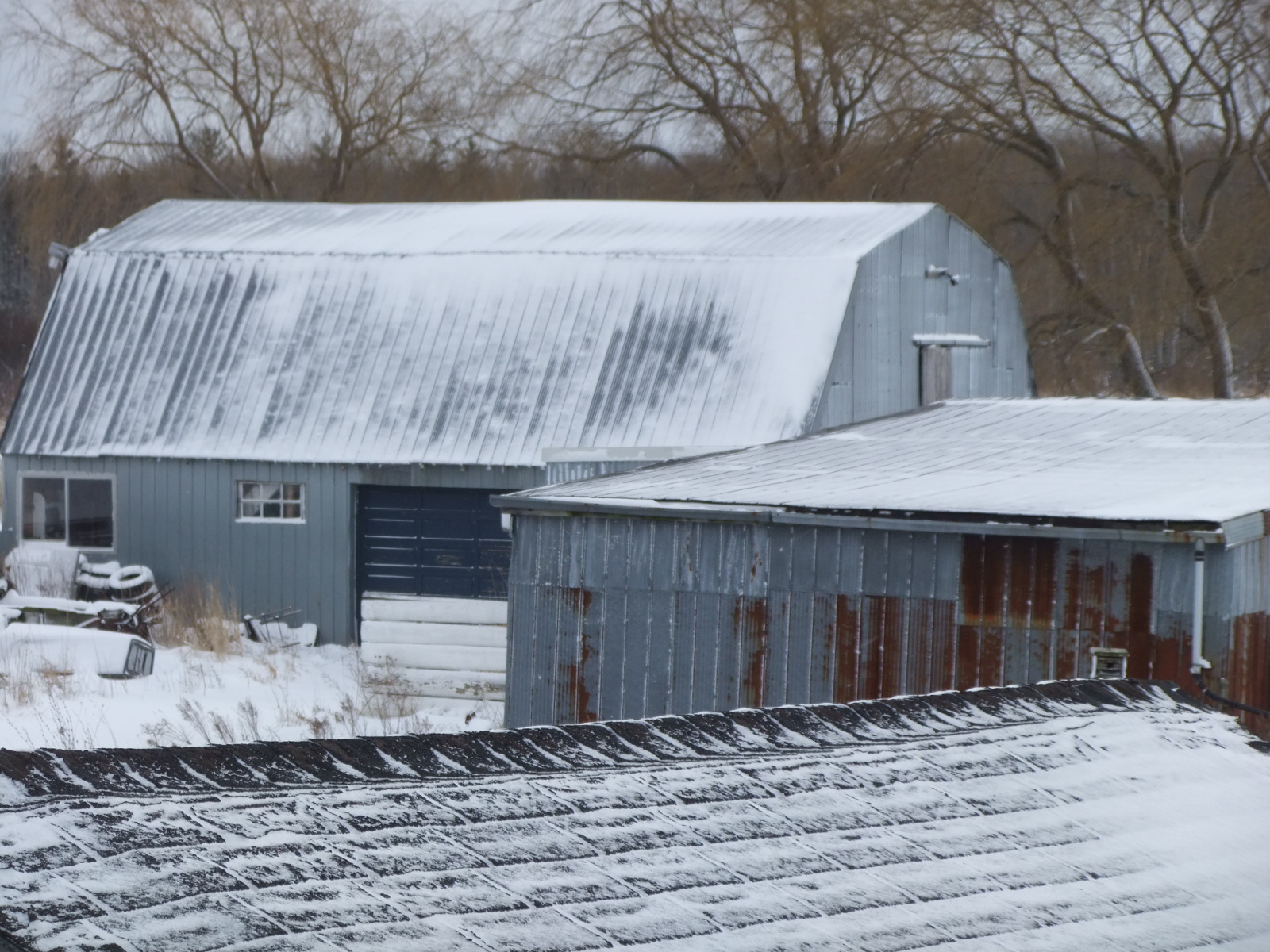 "Just North of Wiarton & South of the Checkerboard": Winter Has Entered ...