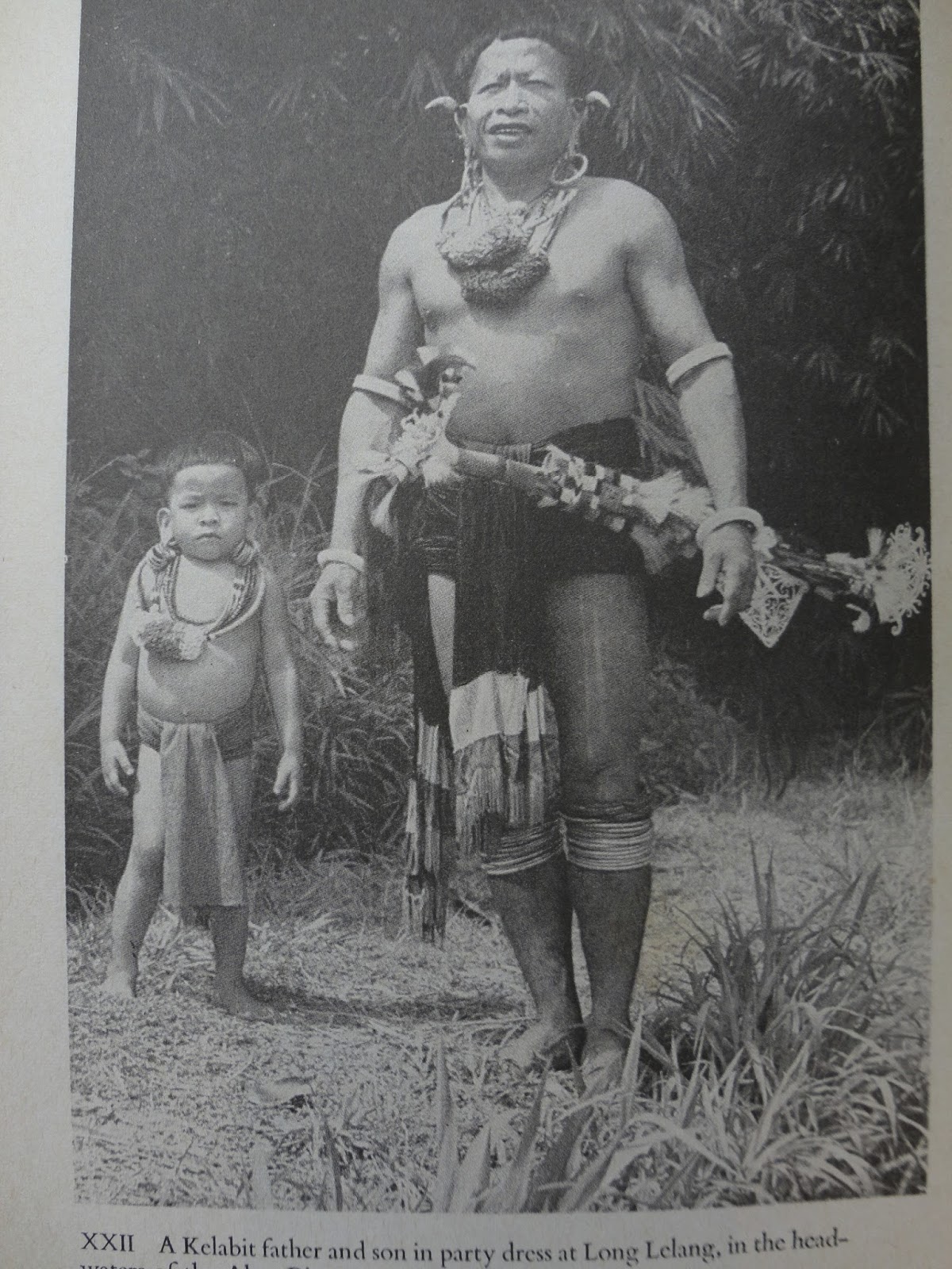 SUSTAINABLE LIVING INSTITUTE (SAVE): AUSTRONESIA - BORNEO, TRADITIONAL ...