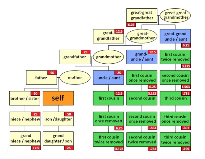 Roberto's Family Tree