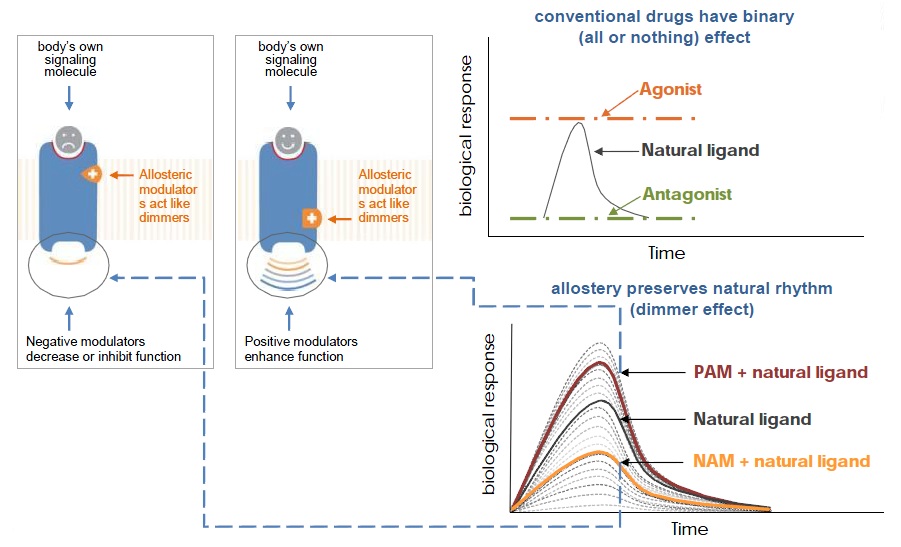 ADXN - What Lilly's Failure Means For Addex