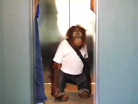 Qt and openCV: mean shift and openCV2--00 : meanShift and camShift