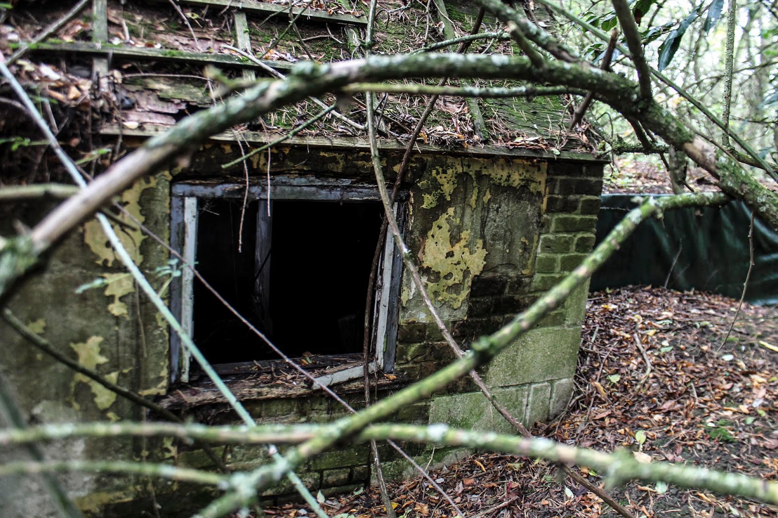 Shrewsbury from where you are not: The house from Tots TV