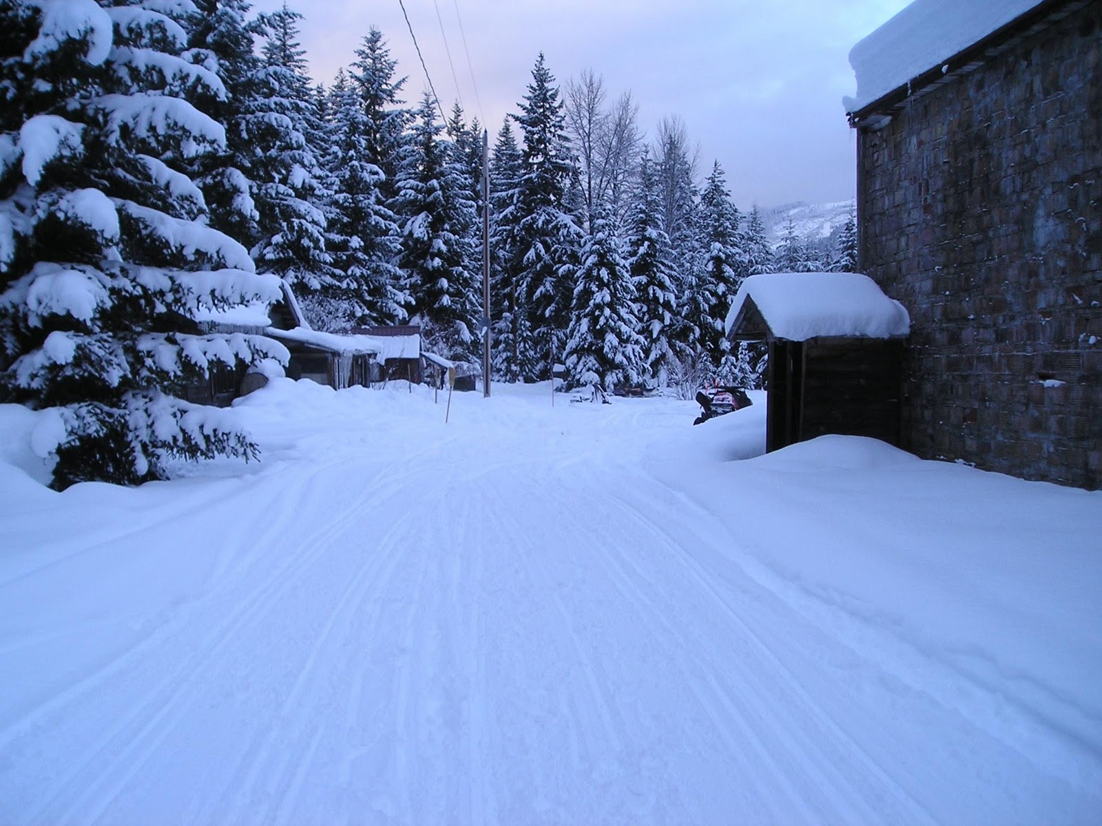 50 Horses Winter Lessons From The Cabin 50-horses-winter-lessons-from-the-cabin