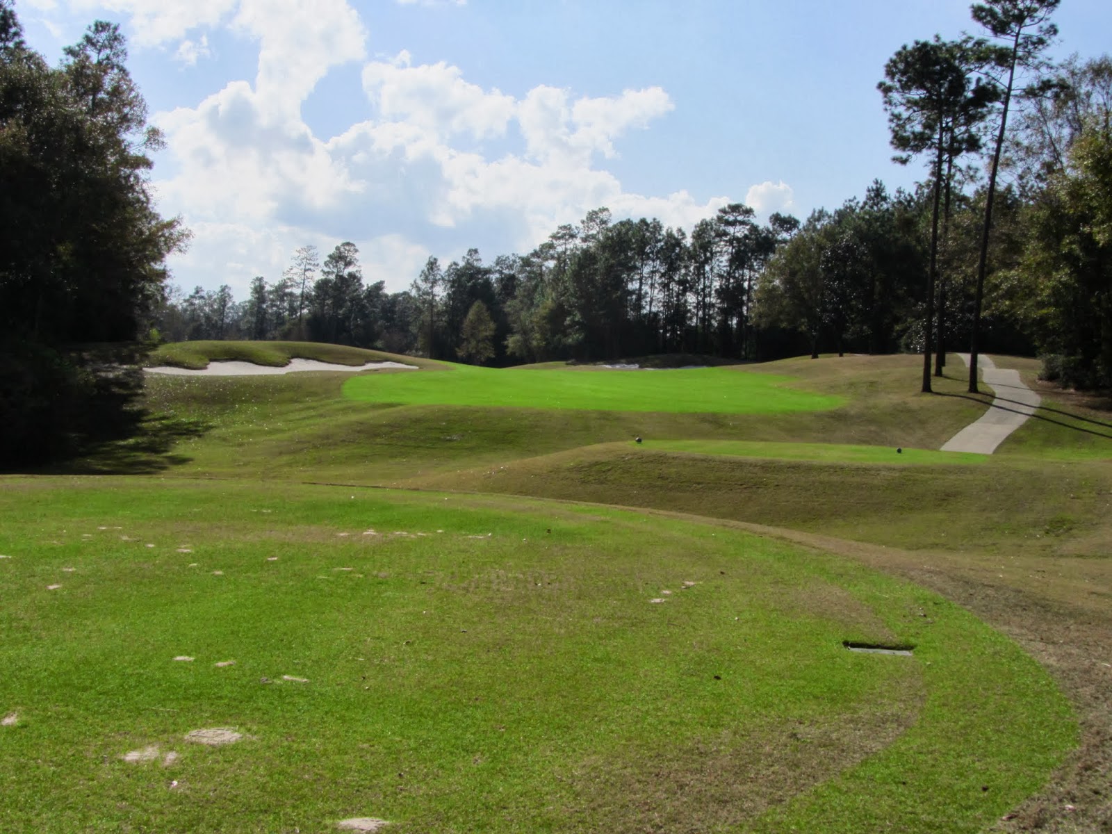 Two Sysprogs: Magnolia Grove - Falls Course