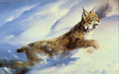 National Wildlife Galleries: The Art of Manfred Schatz