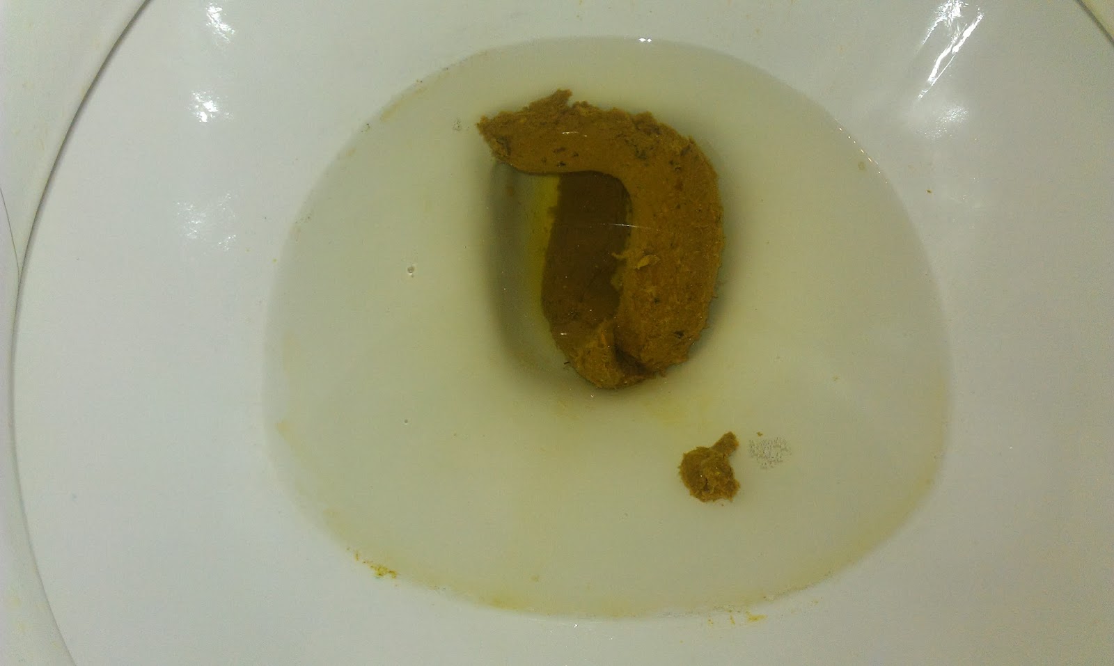 daily poop: poop poop