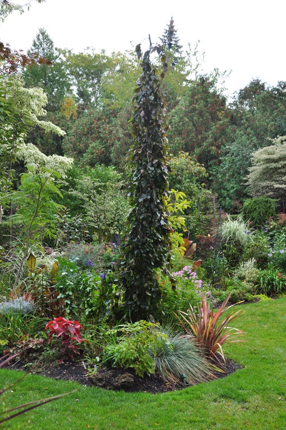 Three Dogs in a Garden: Using Lines to Advantage in a Garden Setting