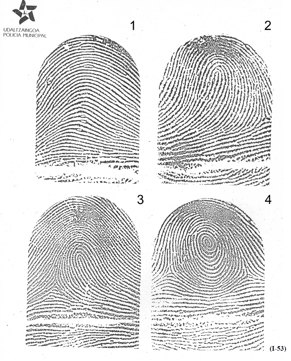 INSIGNIAS ONLINE: LA DACTILOSCOPIA