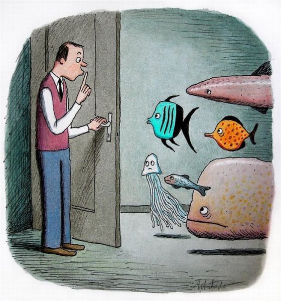 Most Funny Pictures,Weird,Bizarre,Strange Stuff: 6 picsMost Funnies ...