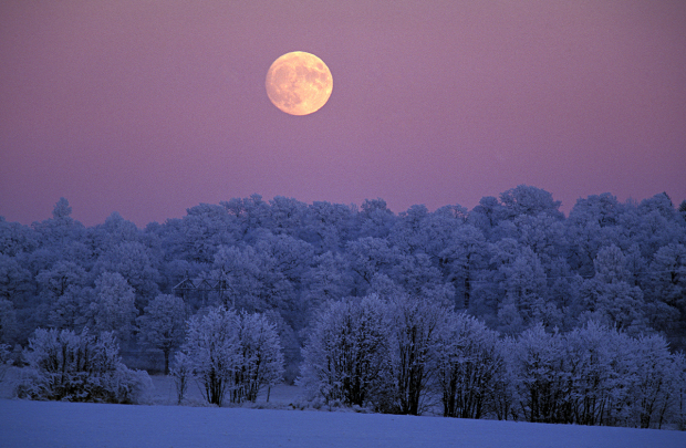 RETRO KIMMER'S BLOG: SNOW MOON-LUNAR ECLIPSE-COMET FEB 10-11 2017