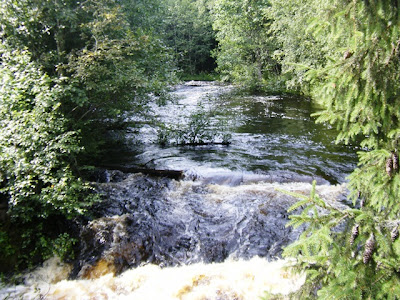 KrampeGammel'n: Kan det bli våtere i marka?