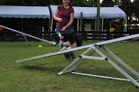 Tips, Tricks, and Training: Using The Tip Assist To Improve Teeter ...