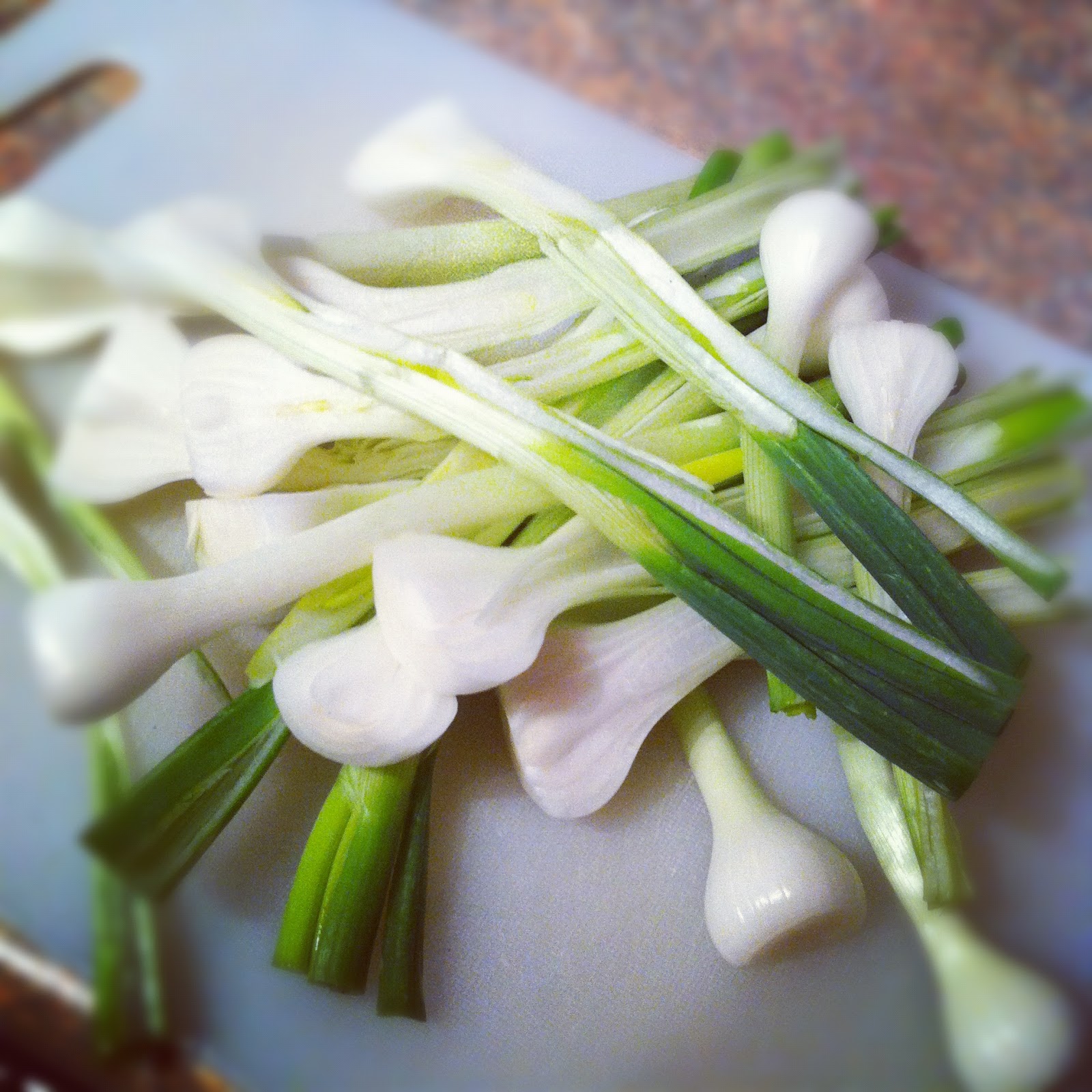 Babaduck: Spring Onion Tray Bread from Seasons by Donna Hay