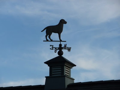 Nutfield Genealogy: Weathervane Wednesday ~ A Black Lab