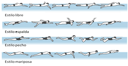 Natacion para una mejor calidad de vida: ESTILOS DE NATACIÓN
