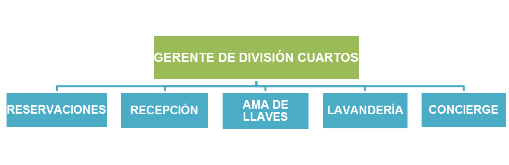 Andrea Sernas: Descripción de puestos de División Cuartos