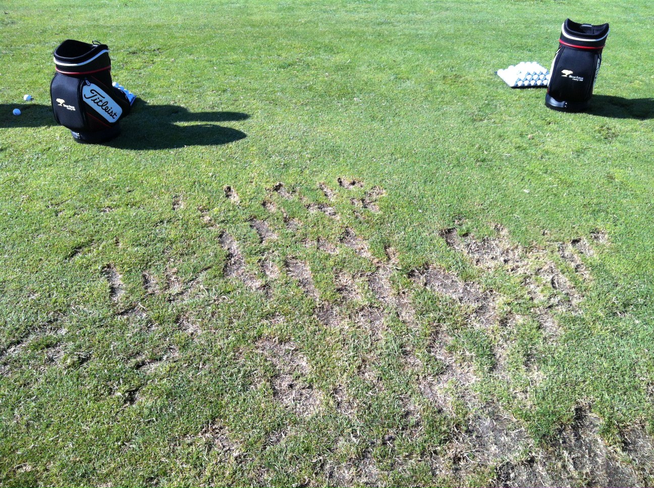 The World of Turf: Driving range tee