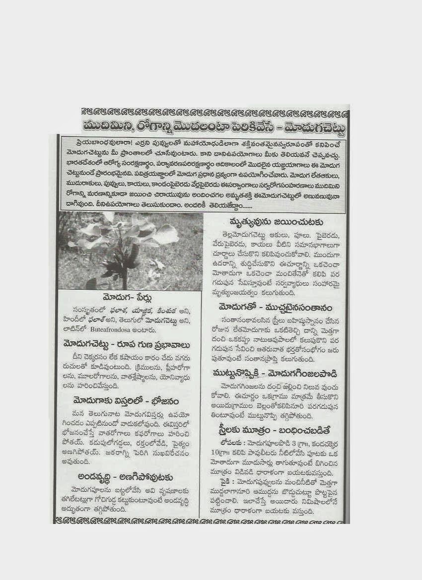 AYURVEDAM - ఆయుర్వేదం: MODUGA CHETTU - AYURVEDIC USES