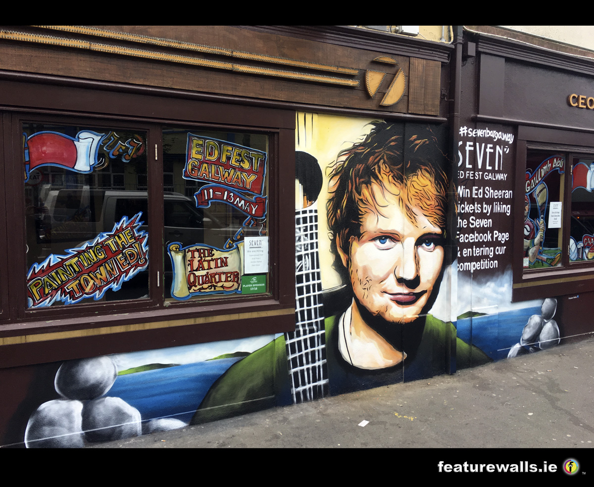 Mural Painting Professionals featurewalls.ie