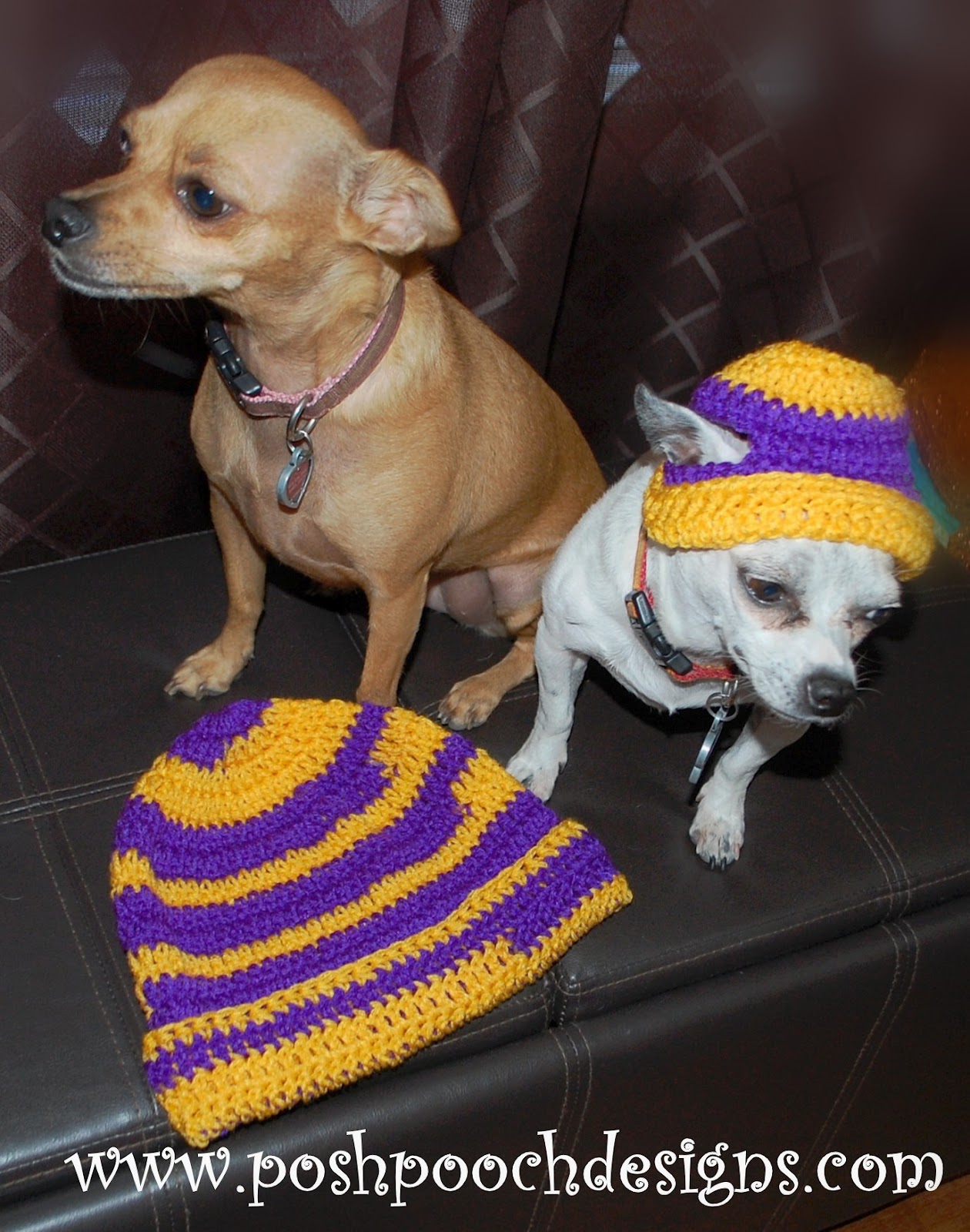 Posh Pooch Designs : Team Spirit - Human and Dog hats