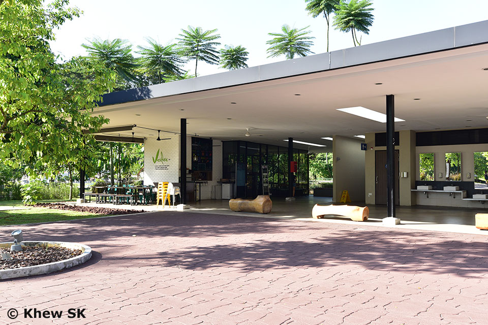 Butterflies of Singapore: Butterfly Photography at Our Local Parks ...