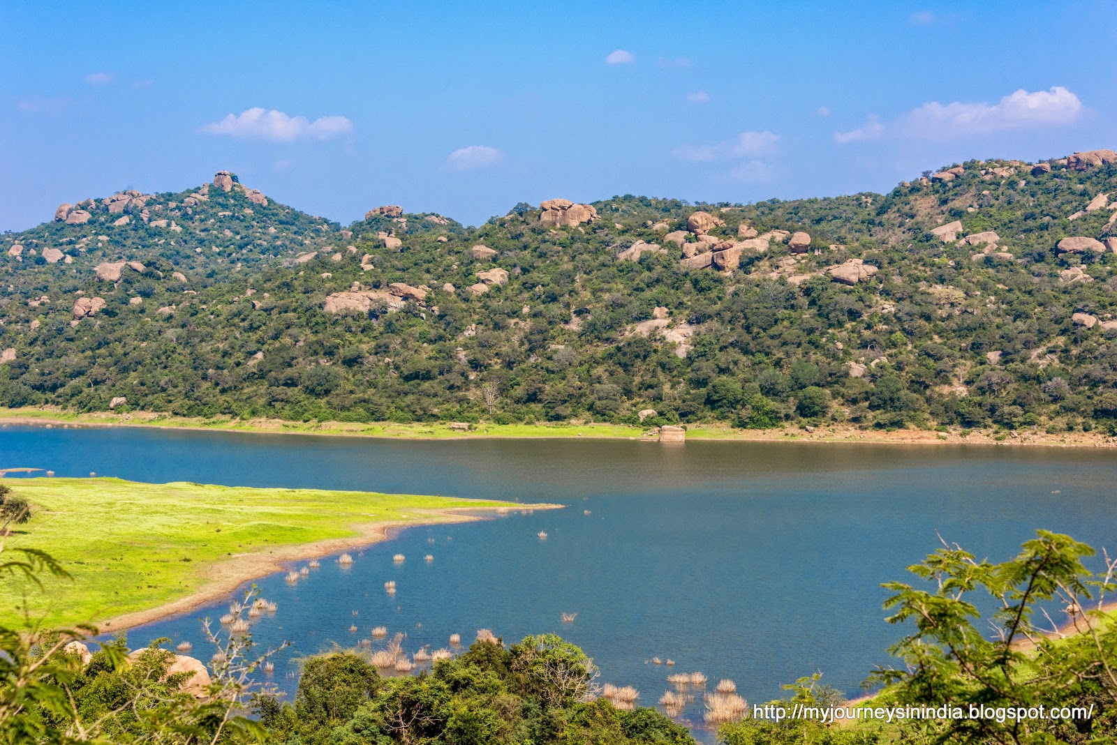 My Journeys In India: Panchapalli Dam Near Hosur and Cattle Egret Fight