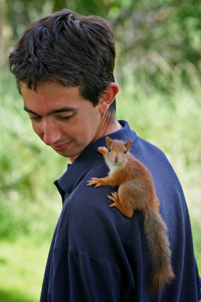 Matt's Photos: My Photographic Advantages