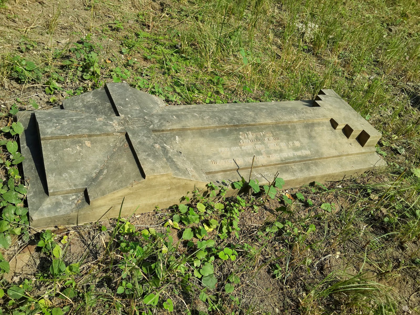 guava gardens: Abraham Wilson died 1884