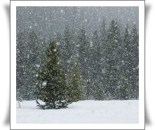 Cara Membuat /Pasang Efek Hujan Salju di Blog Anda - Blog Sidakaton