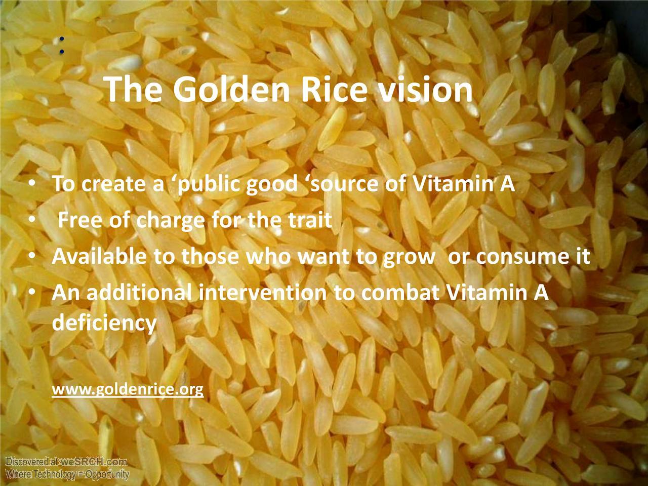 Genetic Modification Of Golden Rice : Genetically modified Golden Rice ...