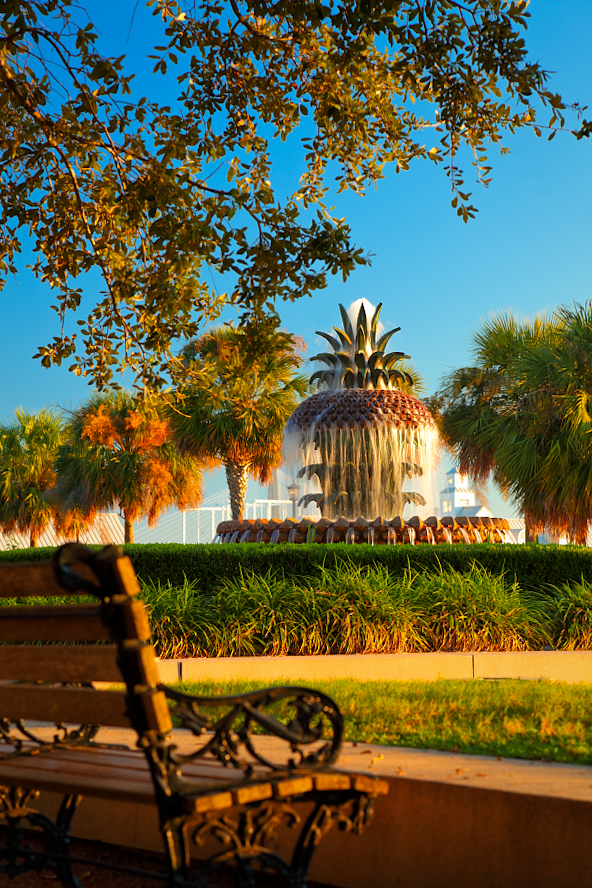 Doug's Photo Blog: Park Ramble