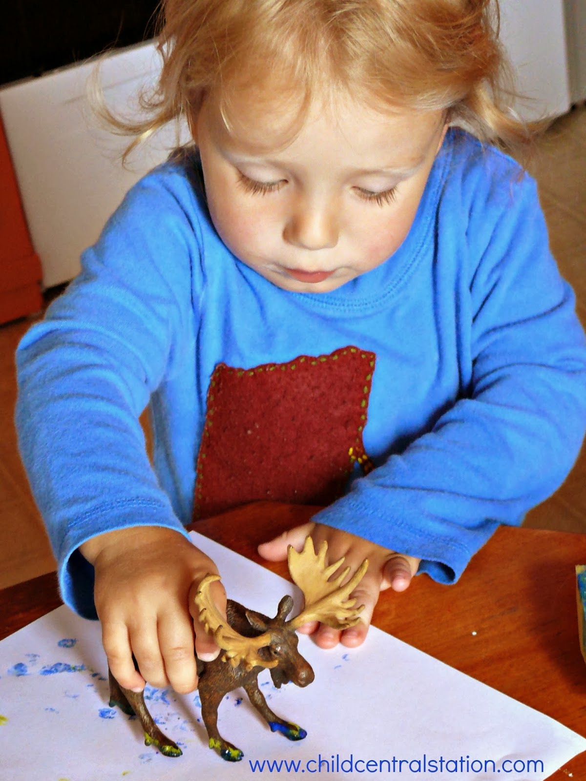 Making Animal Tracks