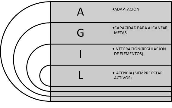 Talcott Parsons Agil - Bing images