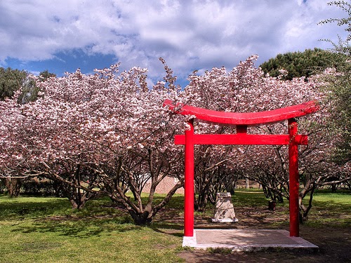 Turismo Necochea: Necochea es una ciudad argentina ubicada en la costa ...