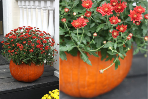 How To: Fall Pumpkin Planters | 17 Apart