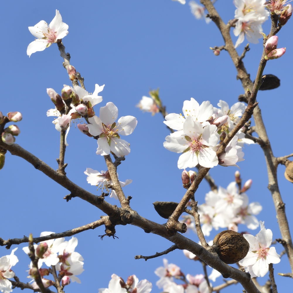 MaiTai's Picture Book: Sparkling spring