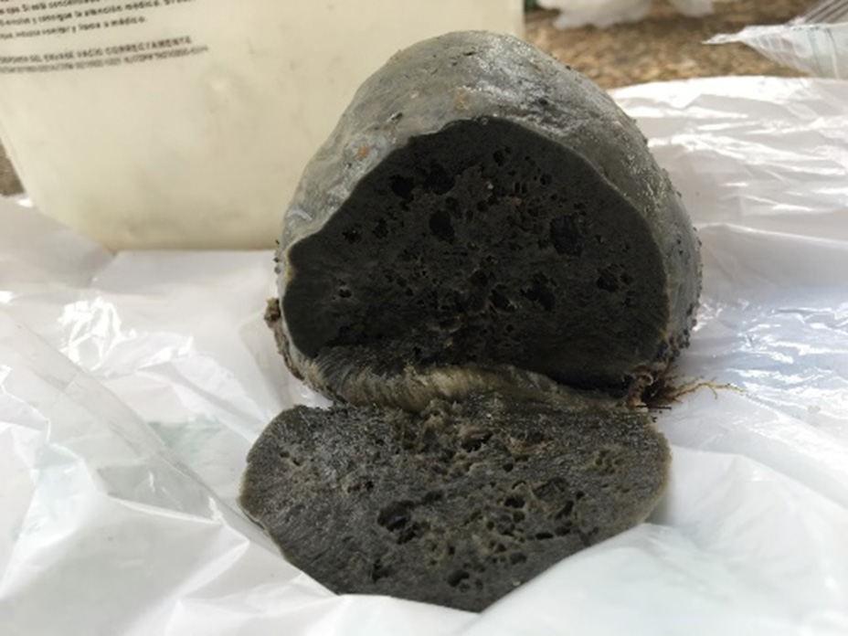 Clean Ocean Action: What’s That Smell? Stinky Potato Sponges Cover ...