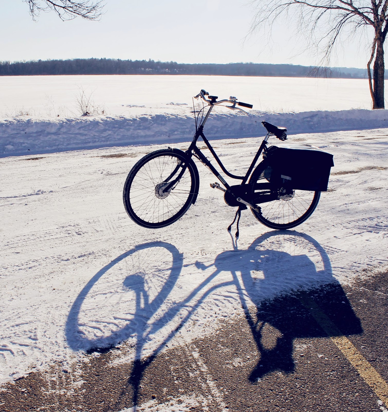 Madison Bike Life: WorkCycles Secret Service