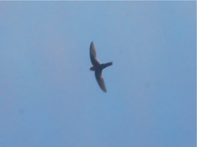 Jan Axel's Blog: March 2012