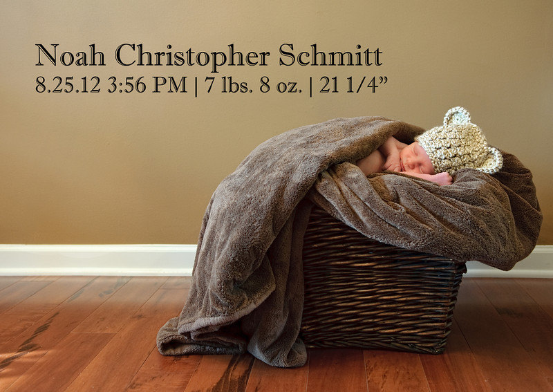 Introducing Noah Christopher! | The Schmitts