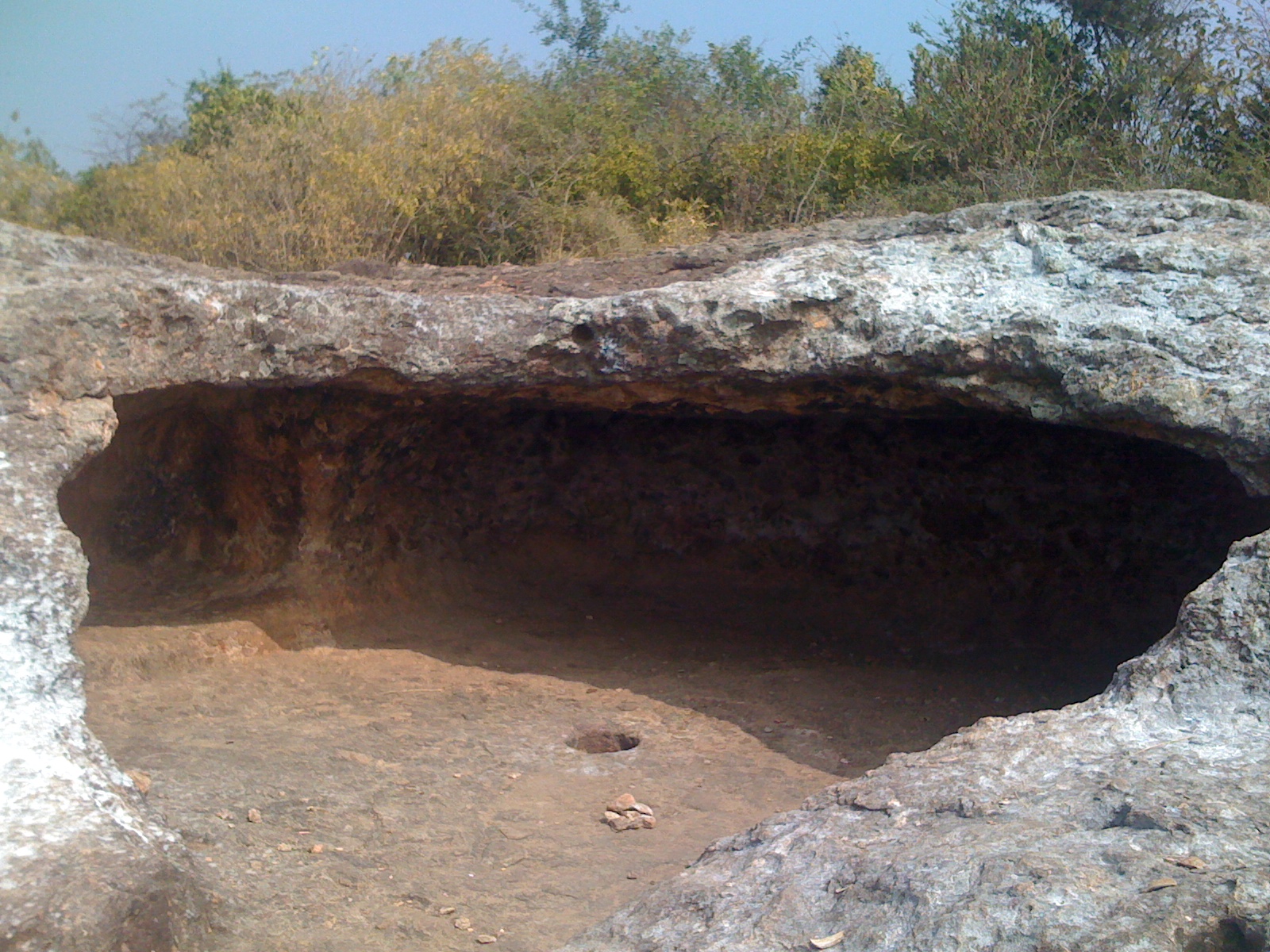 schickrobert: Raju’s Farm December 19