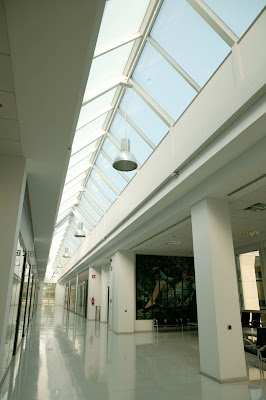 Superfluo Imprescindible: Conocer Inditex por dentro