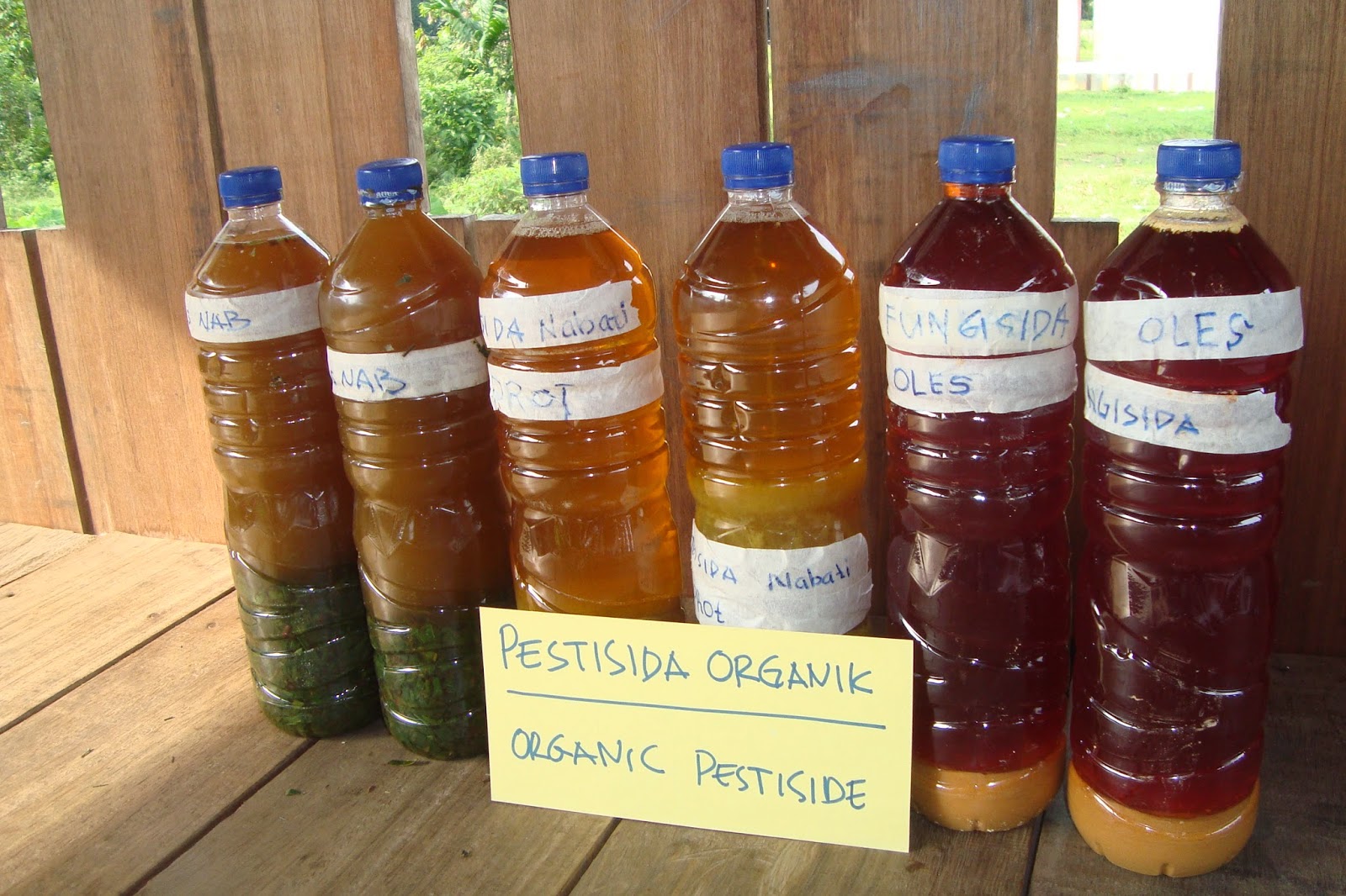 From Aceh to Myanmar: June 2014