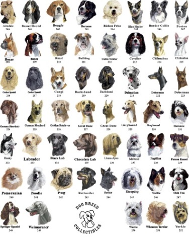 Breeds of dogs